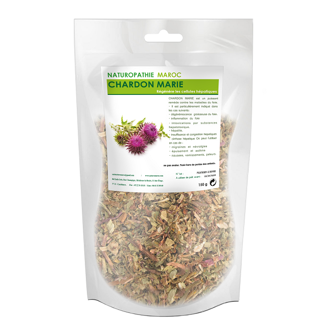 CHARDON MARIE – NaturoMaroc