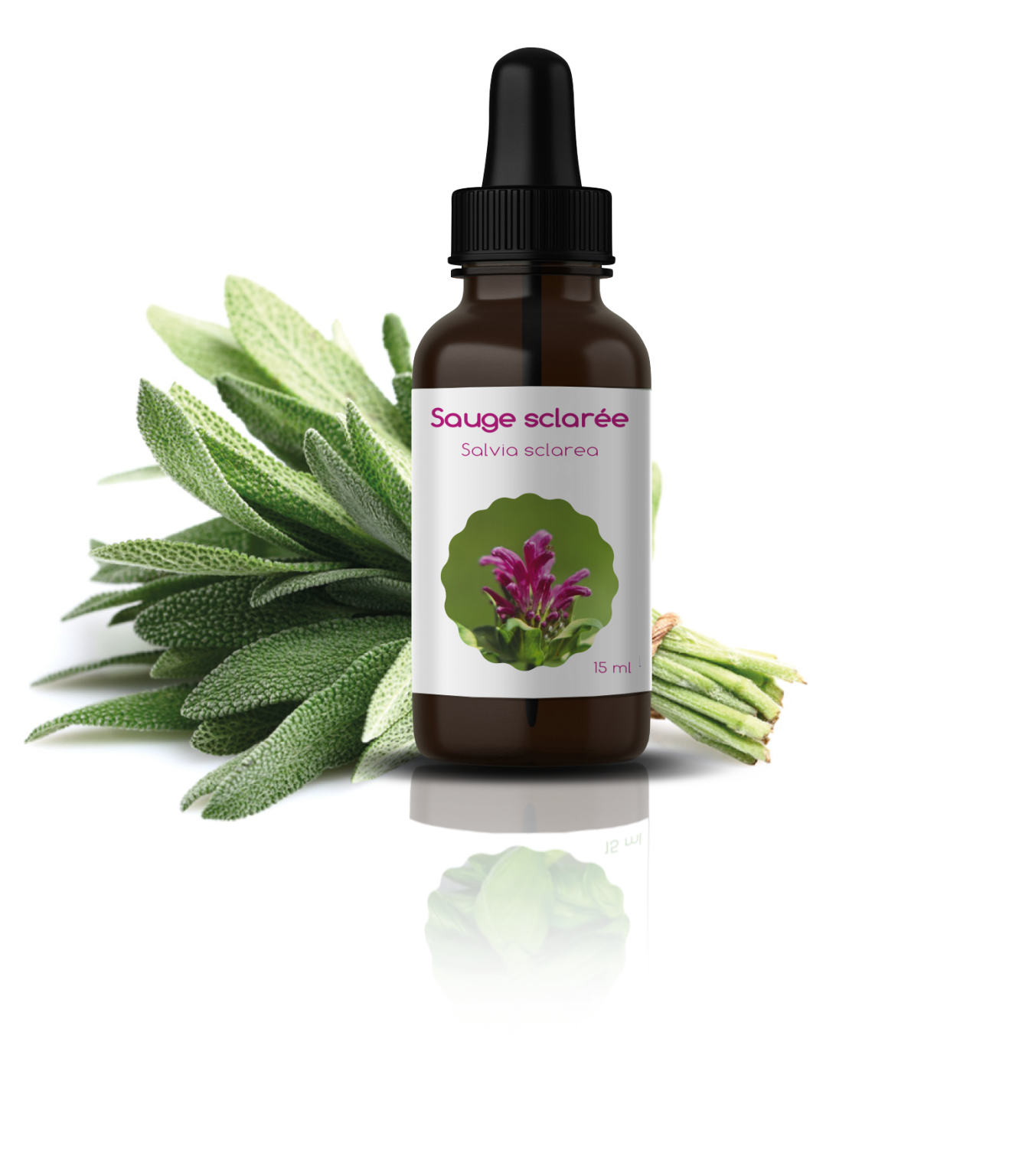 H.E DE SAUGE SCLARÉE: Salvia sclarea – NaturoMaroc